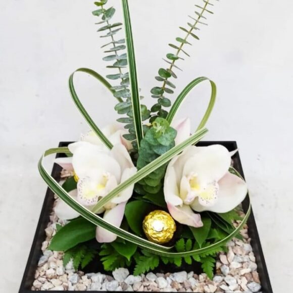 Productos - Estatus Floristería