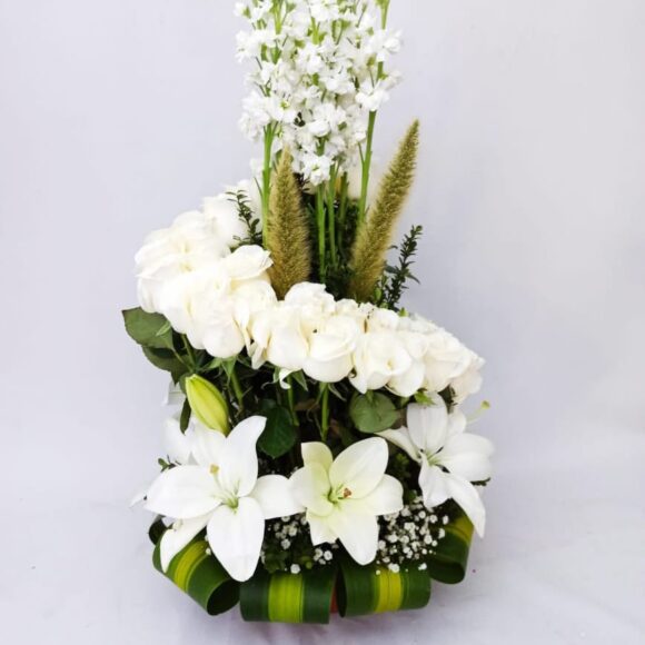 Productos - Estatus Floristería